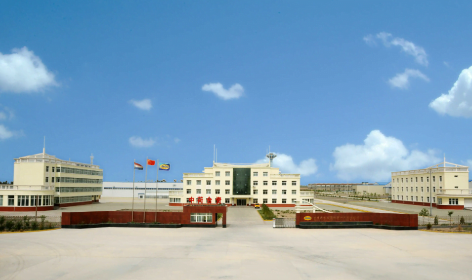 Top 10 Potato Flakes Manufacturer in China - XION Potato Flakes ...